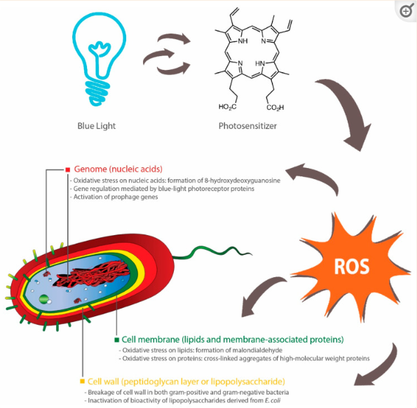 Is Blue Light Good for Your Skin, like Reducing Acne and Wrinkles ...
